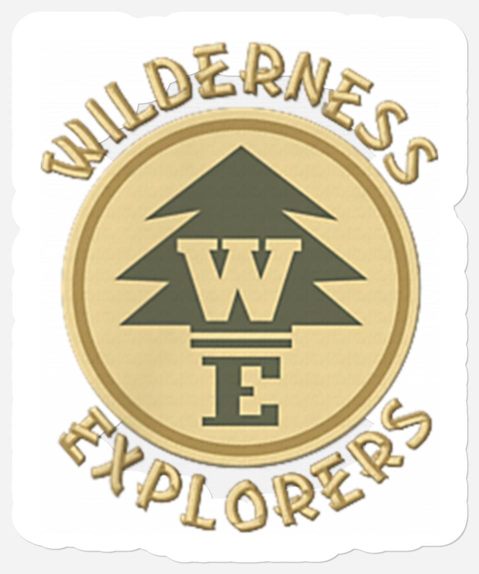 Disneyss Pixars Up Wilderness Explorer Badge Graphic Stickers | ID ...